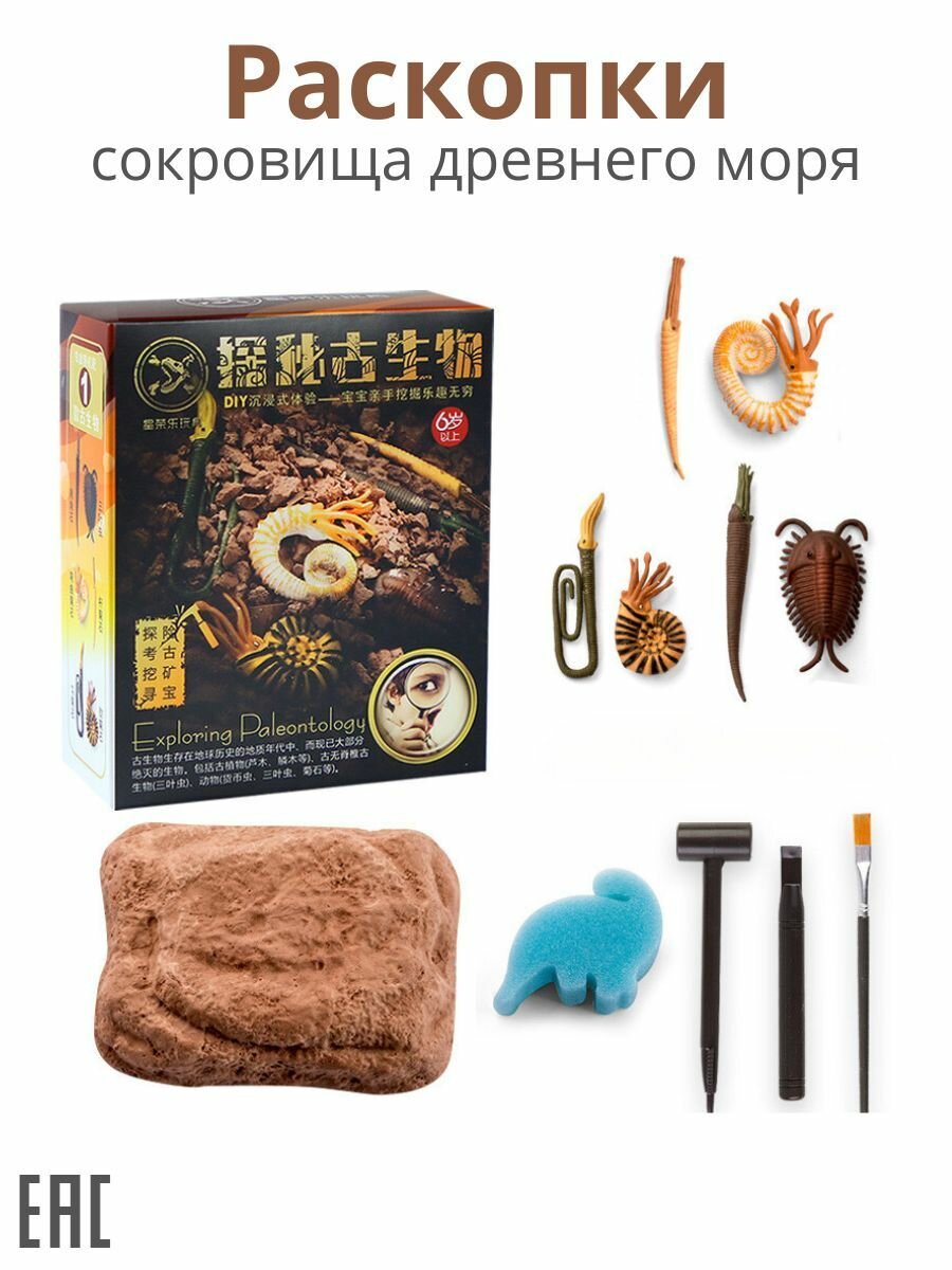 Раскопки для детей, Сокровища древнего моря / Набор раскопки