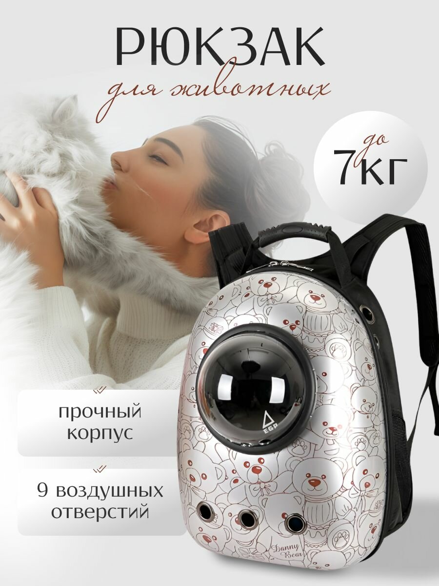 Переноска
