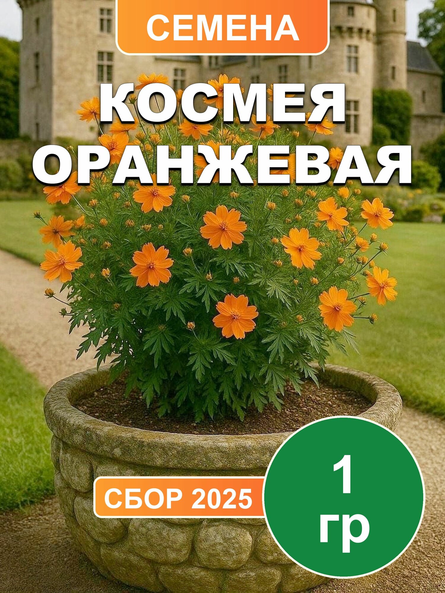 Космея оранжевая, семена, 1гр