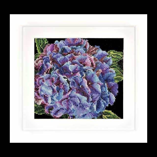 "Гортензия (Hydrangea) канва" 18 Aida Thea Gouverneur (Нидерланды) арт. 497A