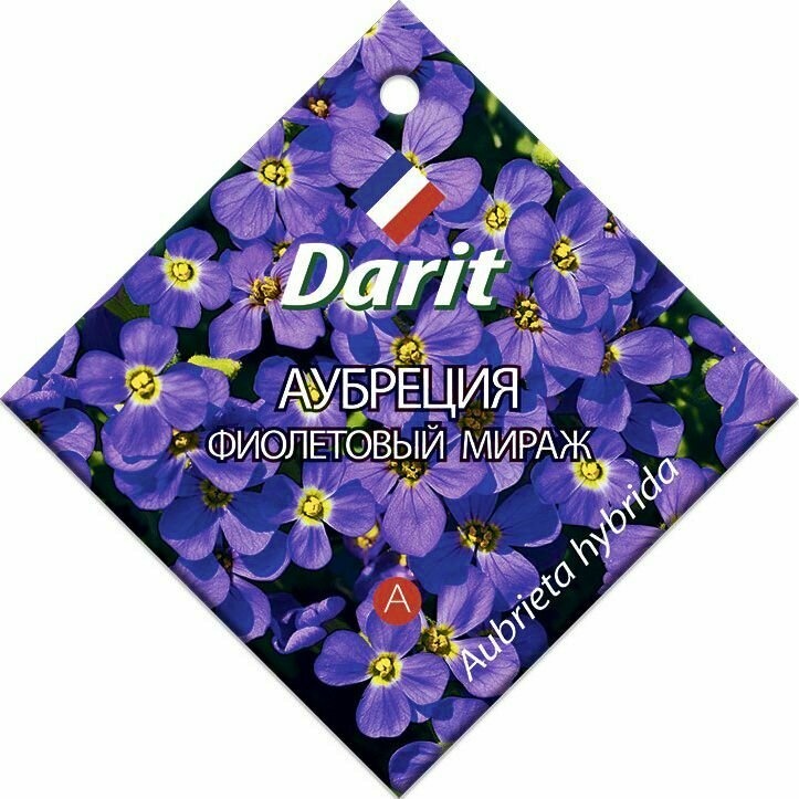 Семена "Аубреции Darit Фиолетовый мираж", многолетние, высота 15см, 0.1г