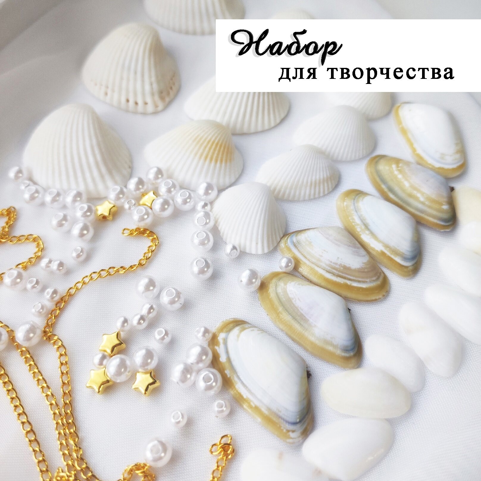 Набор для творчества "Ракушки"