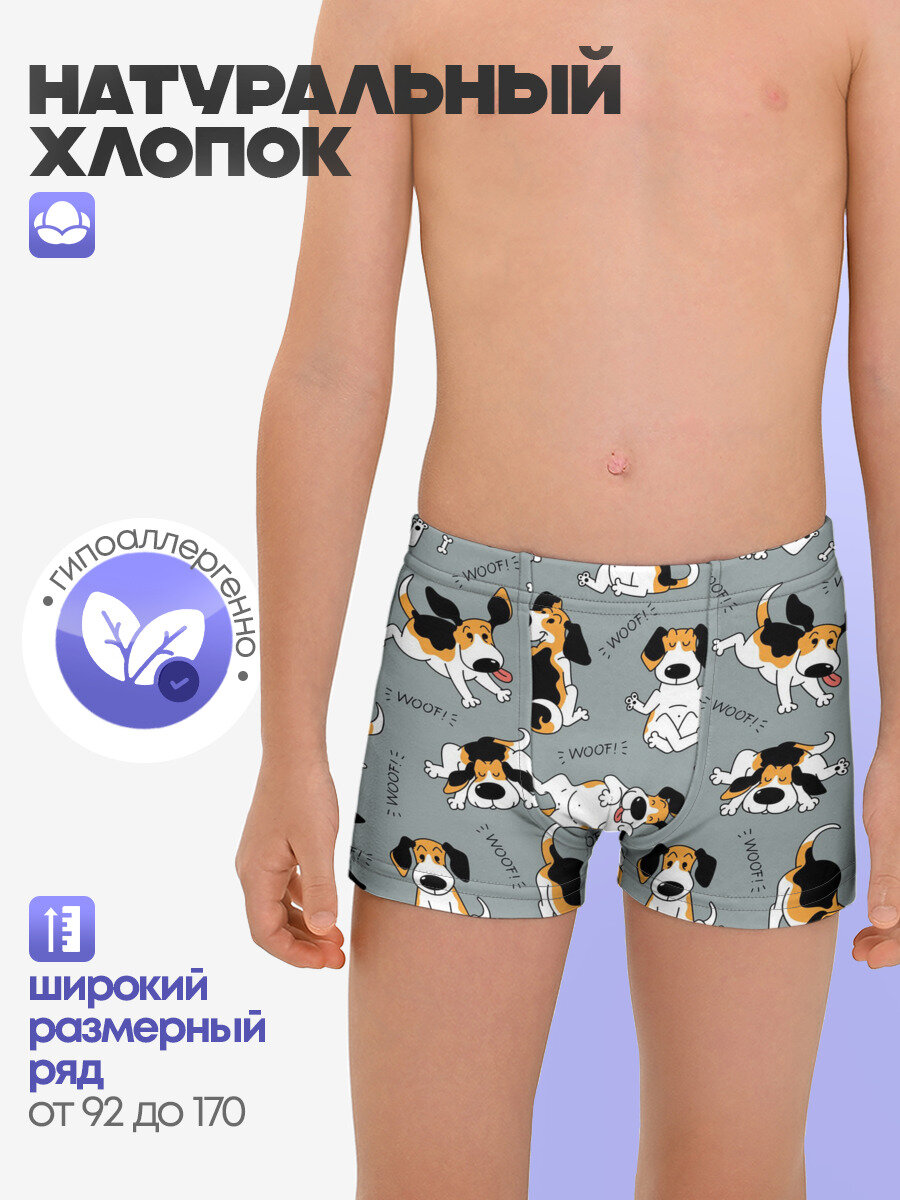 Трусы Бигль