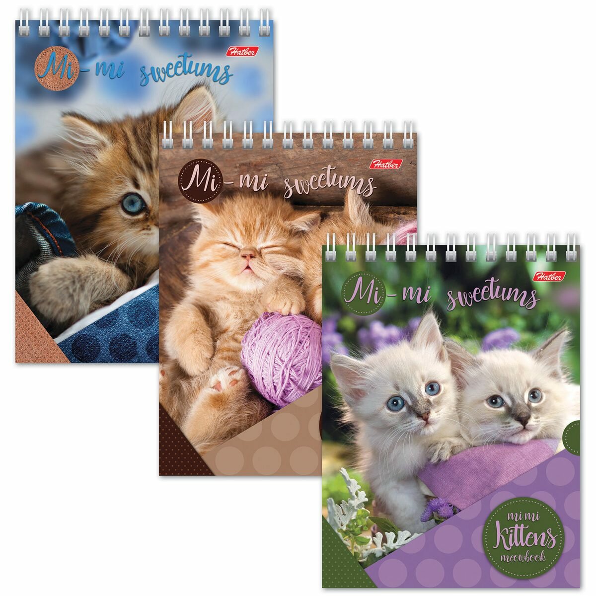 Блокнот 40л, А6 Hatber "Милые котята", клетка, спираль, картон ламинированный (40Б6B1гр, В12291), 6шт.