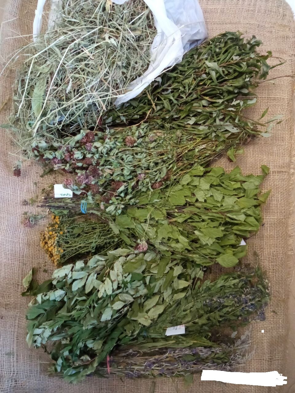 Лакомство для шиншилл, хомяков, морских свинок, дегу, крыс, песчанок ChinZoo набор вкусняшек для кроликов