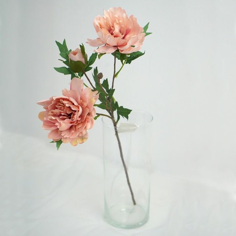 Искусственные цветы Феникс-Презент Пион, Абрикосовый, для декора и цветочных композиций