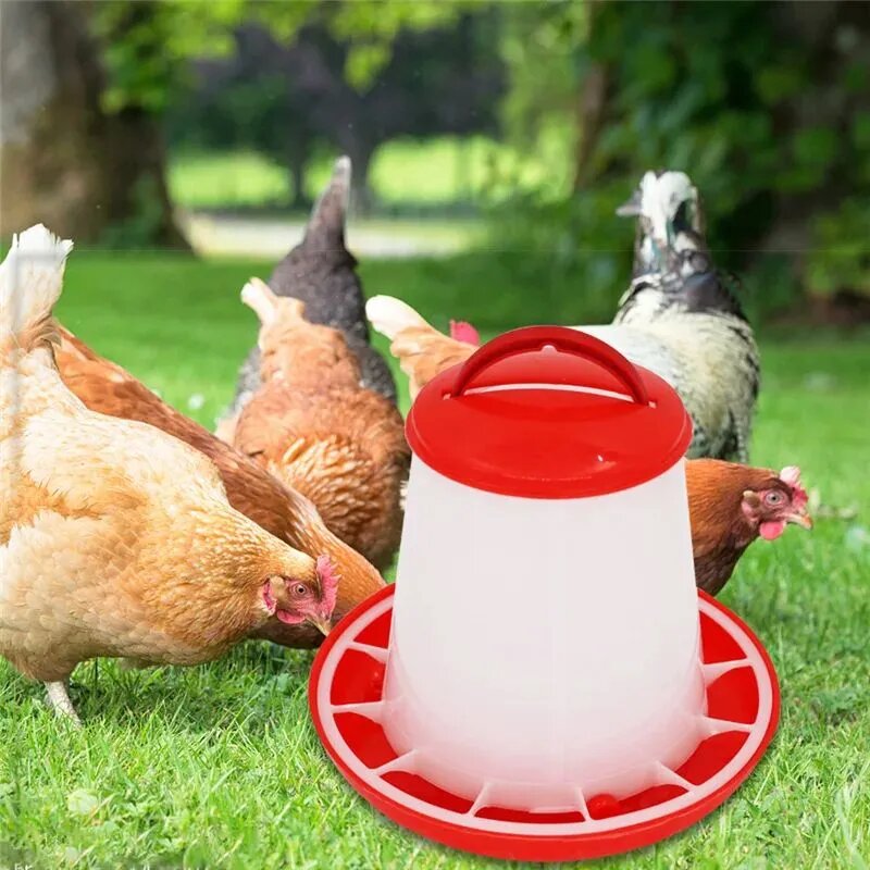 Кормушка для птицы бункерная автоматическая 5кг для корма кур, гусей, уток, индюков, цыплят, бройлеров, несушек