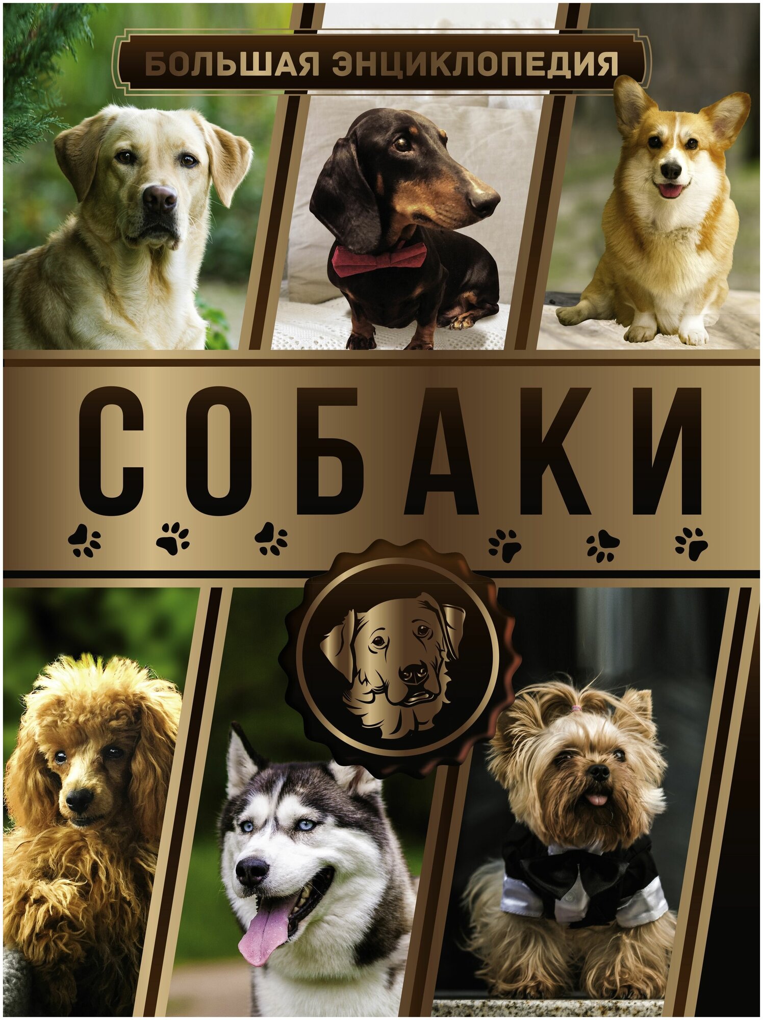 Собаки Большая энциклопедия