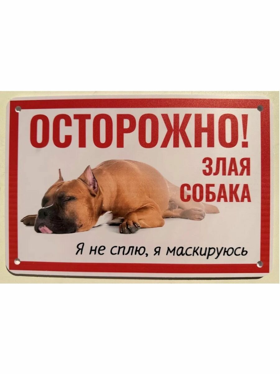 Табличка "Маскируюсь" — фото 1