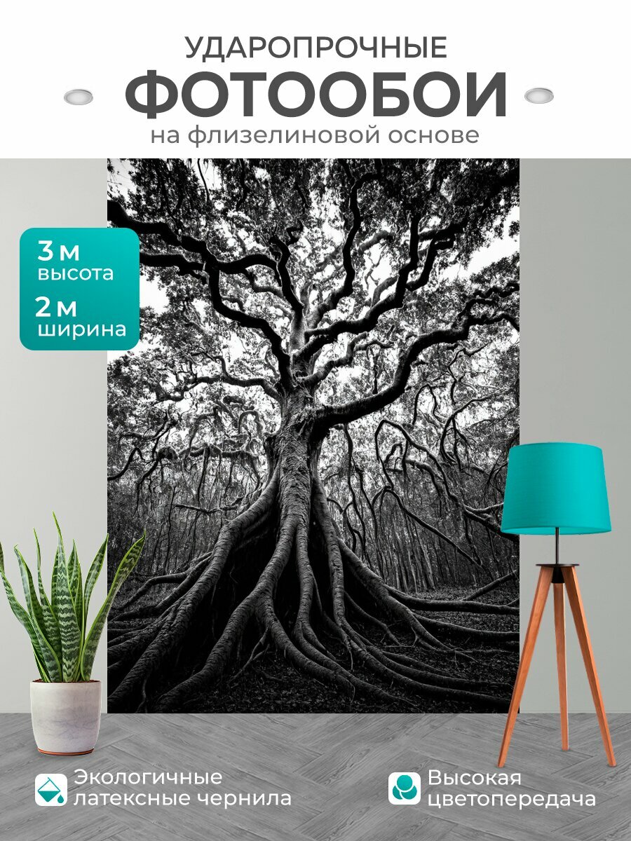 Фотообои моющиеся ударопрочные "Фотообои лес в стиле черно-белый: сказочные деревья с закрученными ветвями и чрезмерно большими корнями, образующими" 200x300 см. флизелиновые на стену