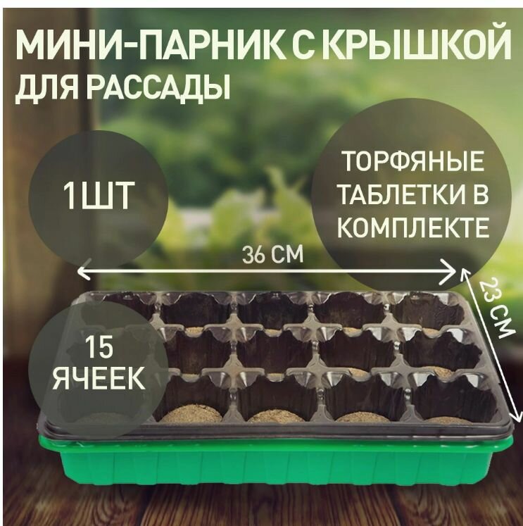 Мини-парник для рассады с крышкой и кассетой на 15 ячеек с торфяными таблетками