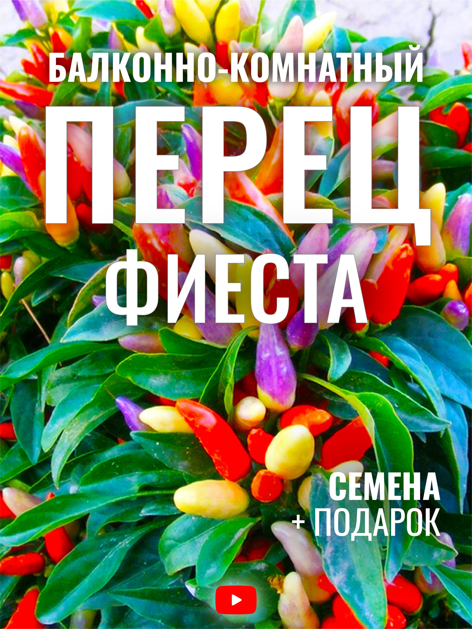Перец балконно-комнатный Фиеста, Семена, 10 шт, семена овощей