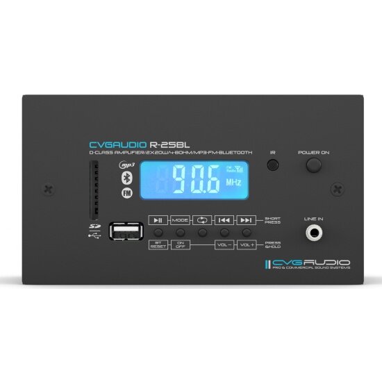 Усилитель Cvgaudio R-25BL