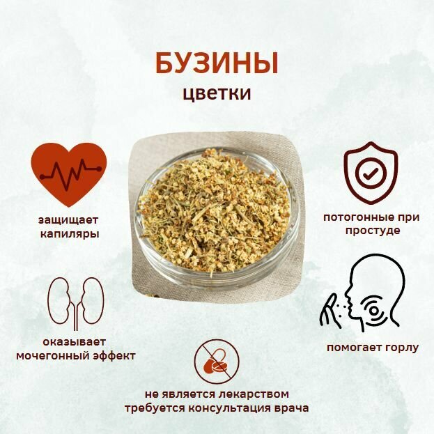 Бузины цвет — фото 1