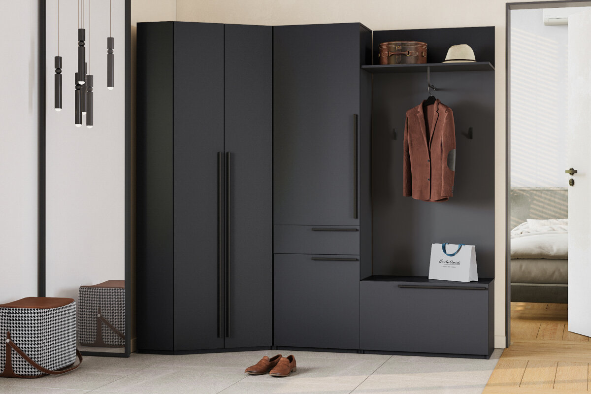 Прихожая Лорена Пакс-3 Черный для одежды 227.5*220*40