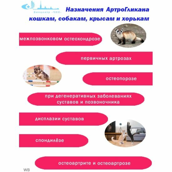 Противовоспалительный препарат Ооо "биоцентр Чин" Артрогликан, при заболеваниях суставов и позвоночника 300 таб. — фото 1