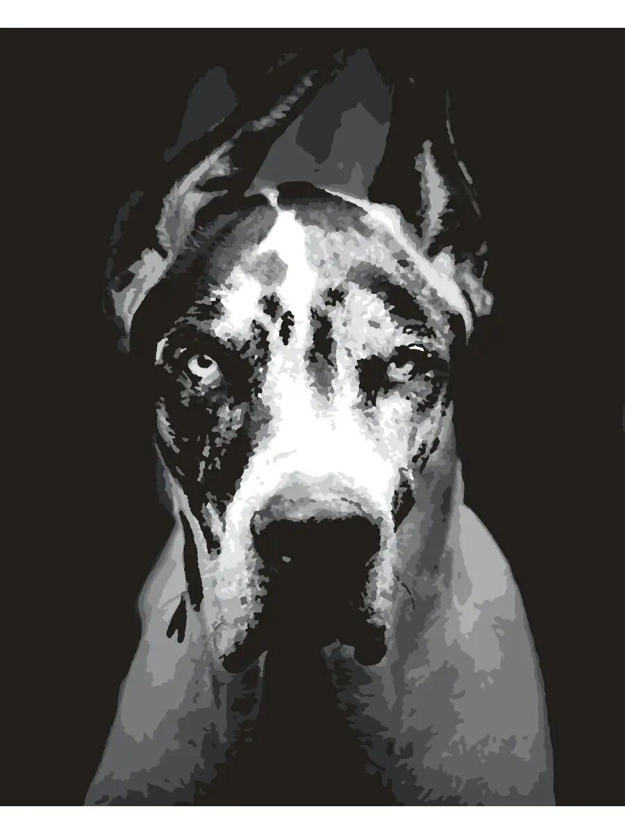 Картина по номерам Аргентинский дог