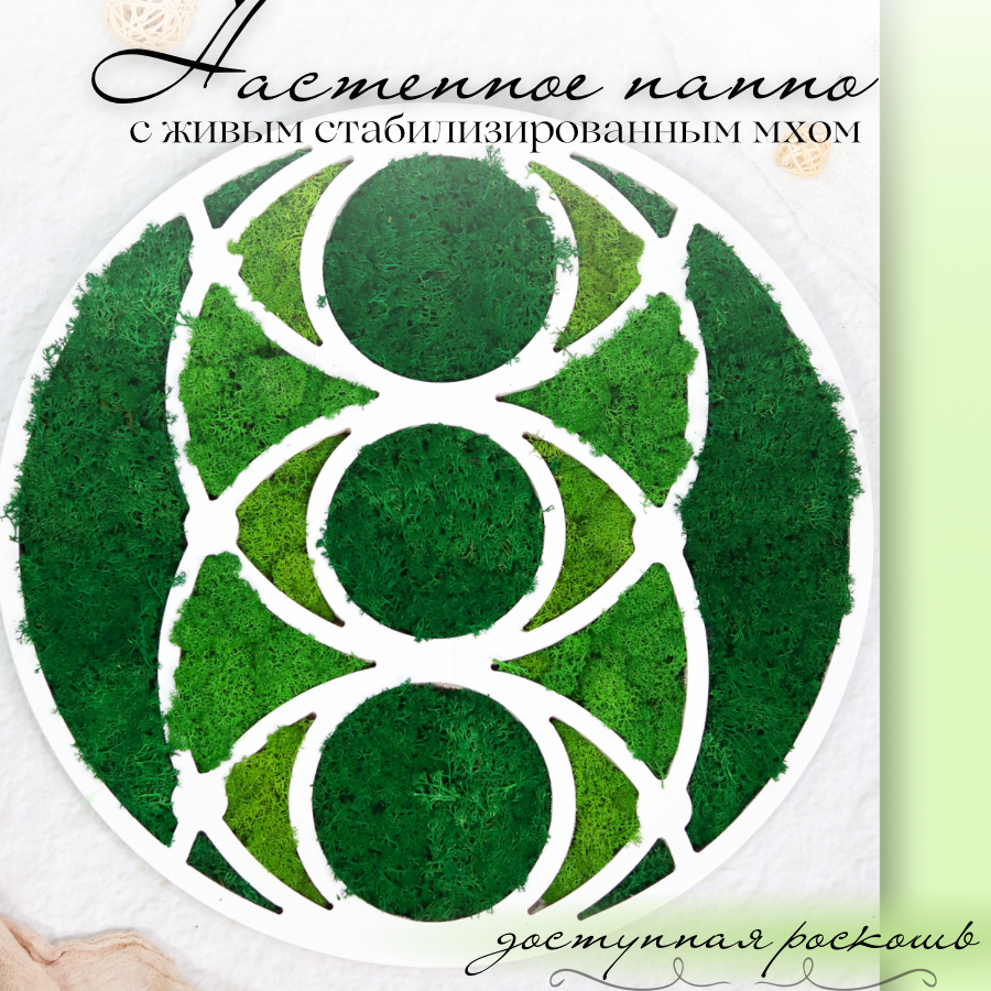 Панно на стену из стабилизированного мха "Сфера" в стильной раме из дерева, зеленый / картина на стену