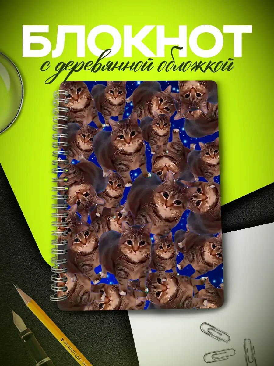 Блокнот для записей кот оииа мем