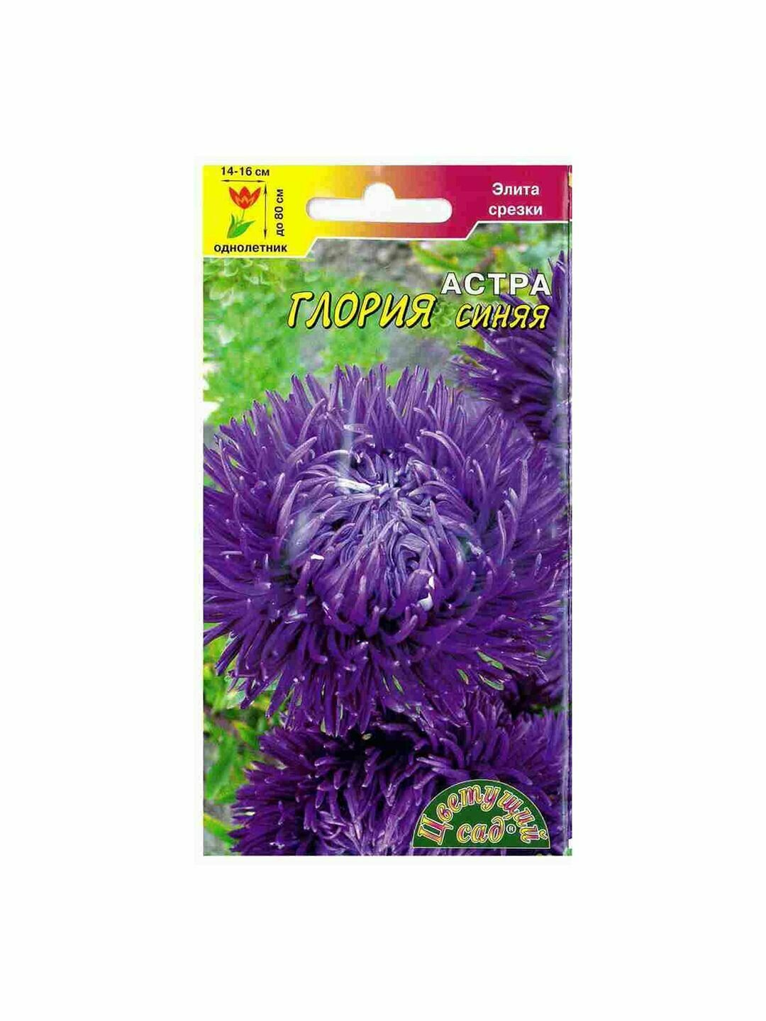Семена Астра Глория Синяя, однолетник, Цветущий Сад, 1 пачка - 0.2г семян