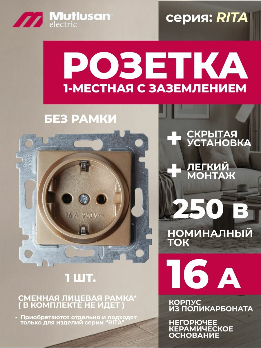 Розетка встраиваемая с заземлением без рамки, серия Rita