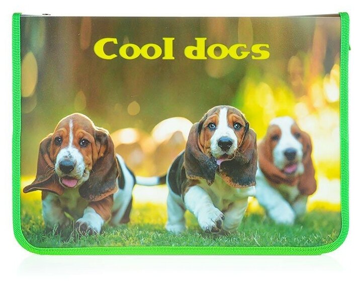 Папка для труда А4 молния вокруг печать на пластике Классные песики"