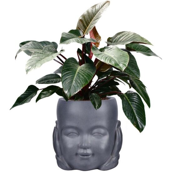 Кашпо настольное Idealist Lite IDEALIST Голова малыша-монаха, файберстоун, сер. Д24.5 Ш23 (KID-FP-TWO-LG-24)