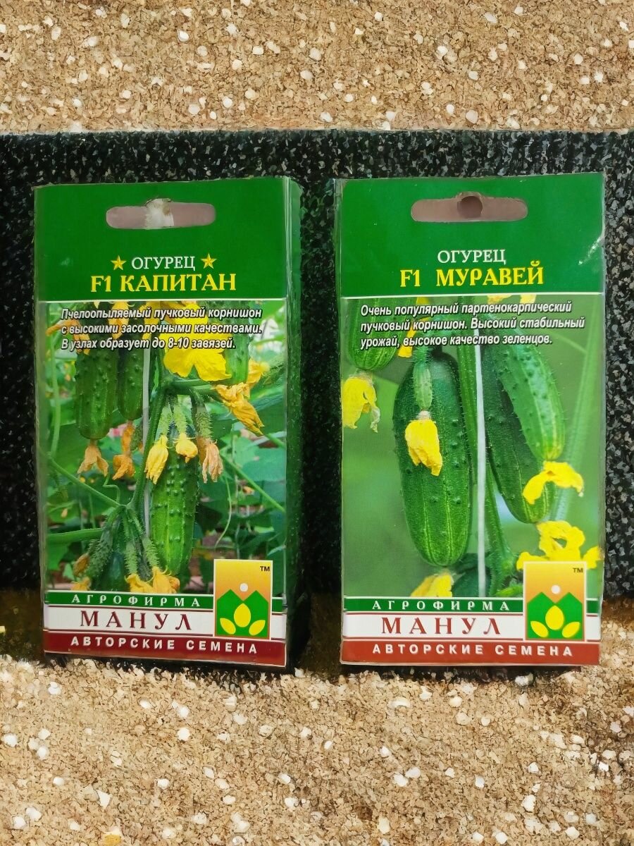 Набор семян засолочных огурцов - корнишонов : Капитан, Муравей . Гибриды с пучковым заложением завязей. Агрофирма Манул