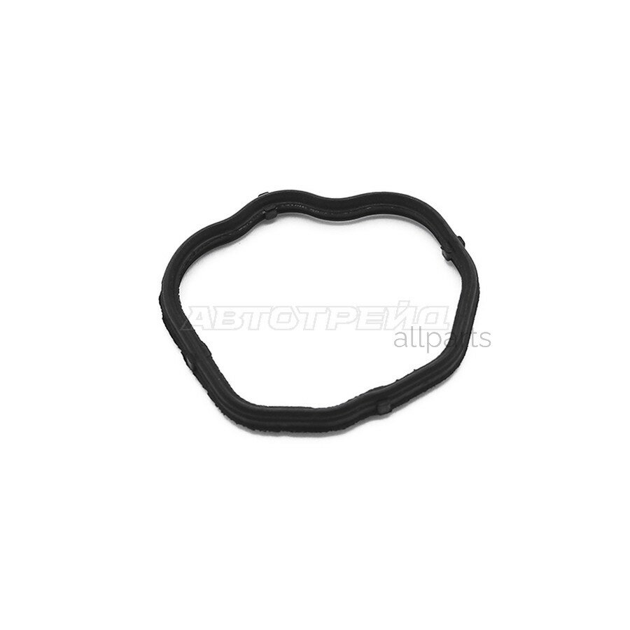 SAT ST-287-0020 Кольцо уплотнительное Mitsubishi L200 05-19 / Pajero Sport 13-17 4D56