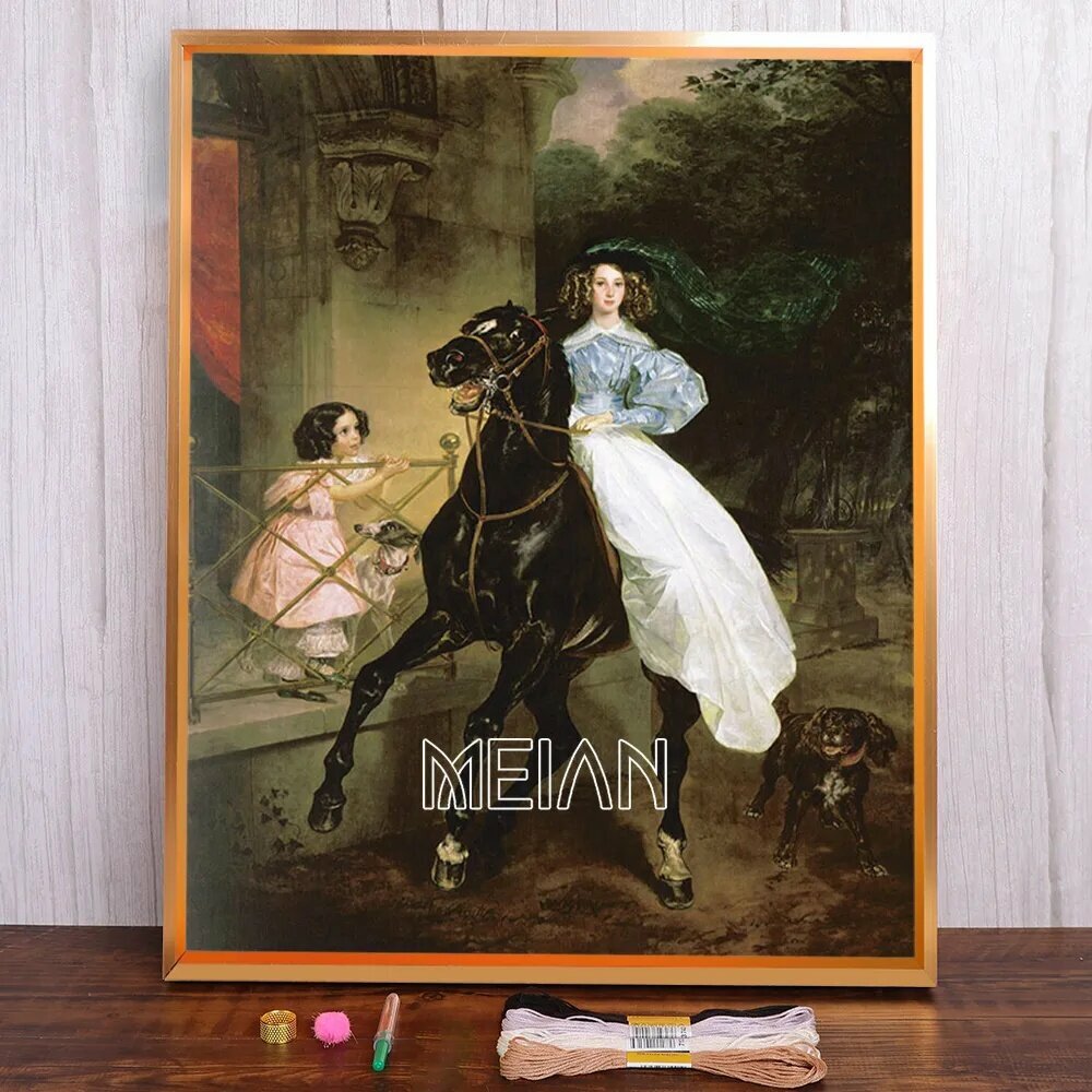 MEIAN Набор для вышивания,40x50CM,14CT, Женщина, едущая на лошади