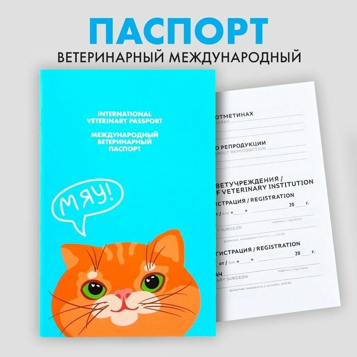 Ветеринарный паспорт международный Рыжий кот