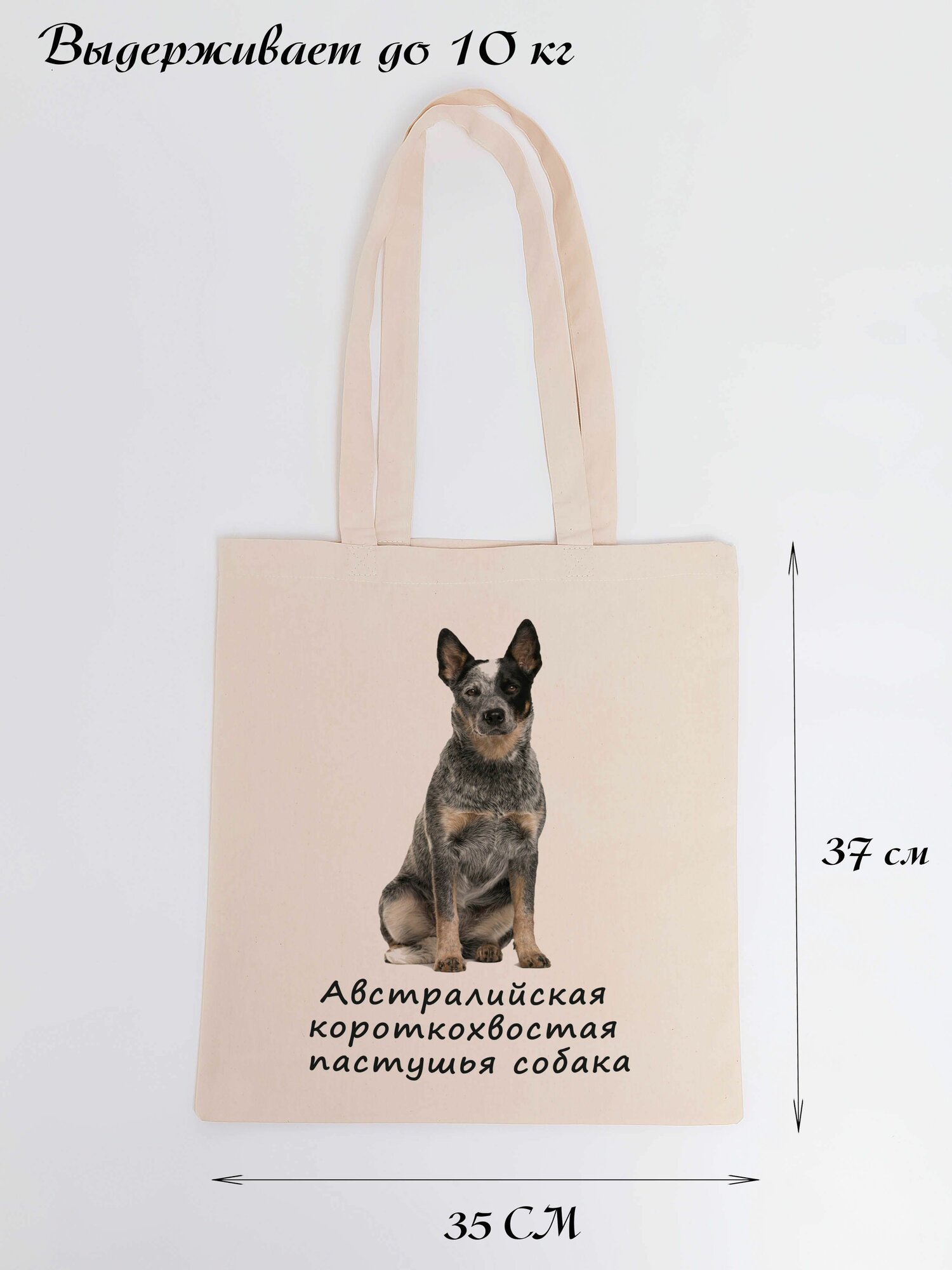 Сумка мессенджер
