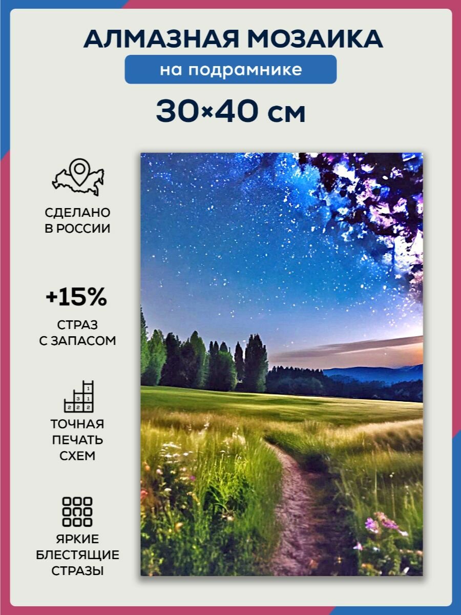 Алмазная мозаика 30x40 Лесная тропа на подрамнике