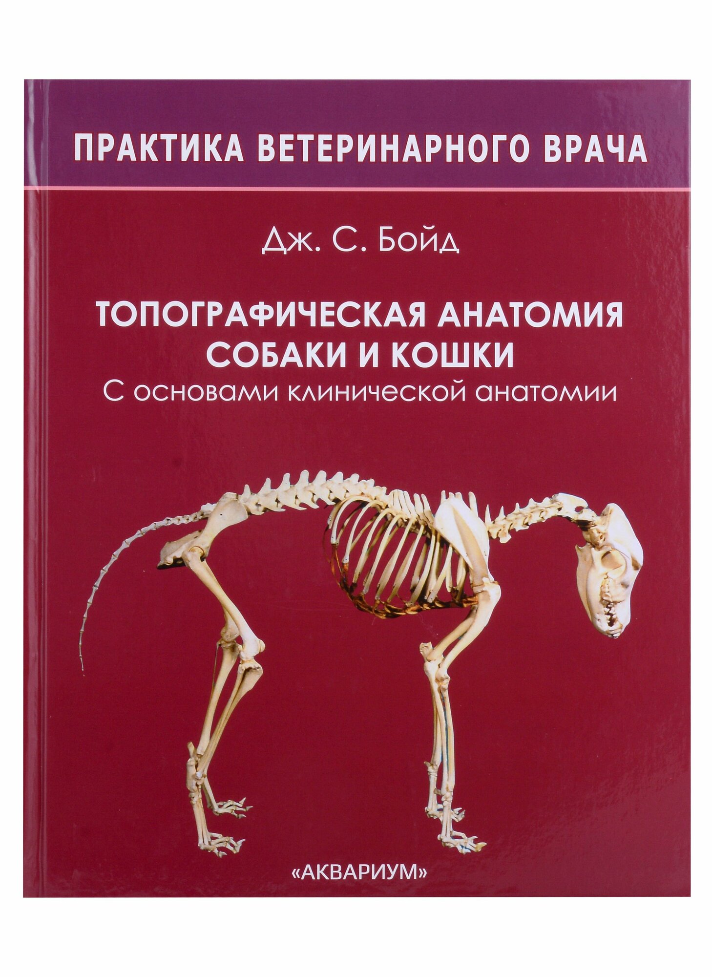 Топографическая анатомия собаки и кошки. С основами клинической анатомии