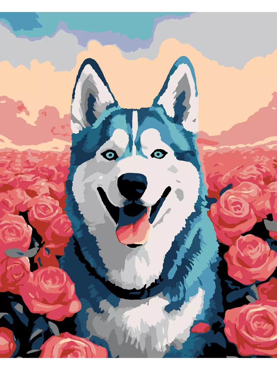 Картина по номерам "Хаски" 40 х 50 см, холст на подрамнике