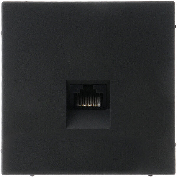 Механизм ArtGallery GAL001083 розетки компьютерной RJ45 5е скрытой проводки карбон Systeme Electric (2 шт. в наборе)