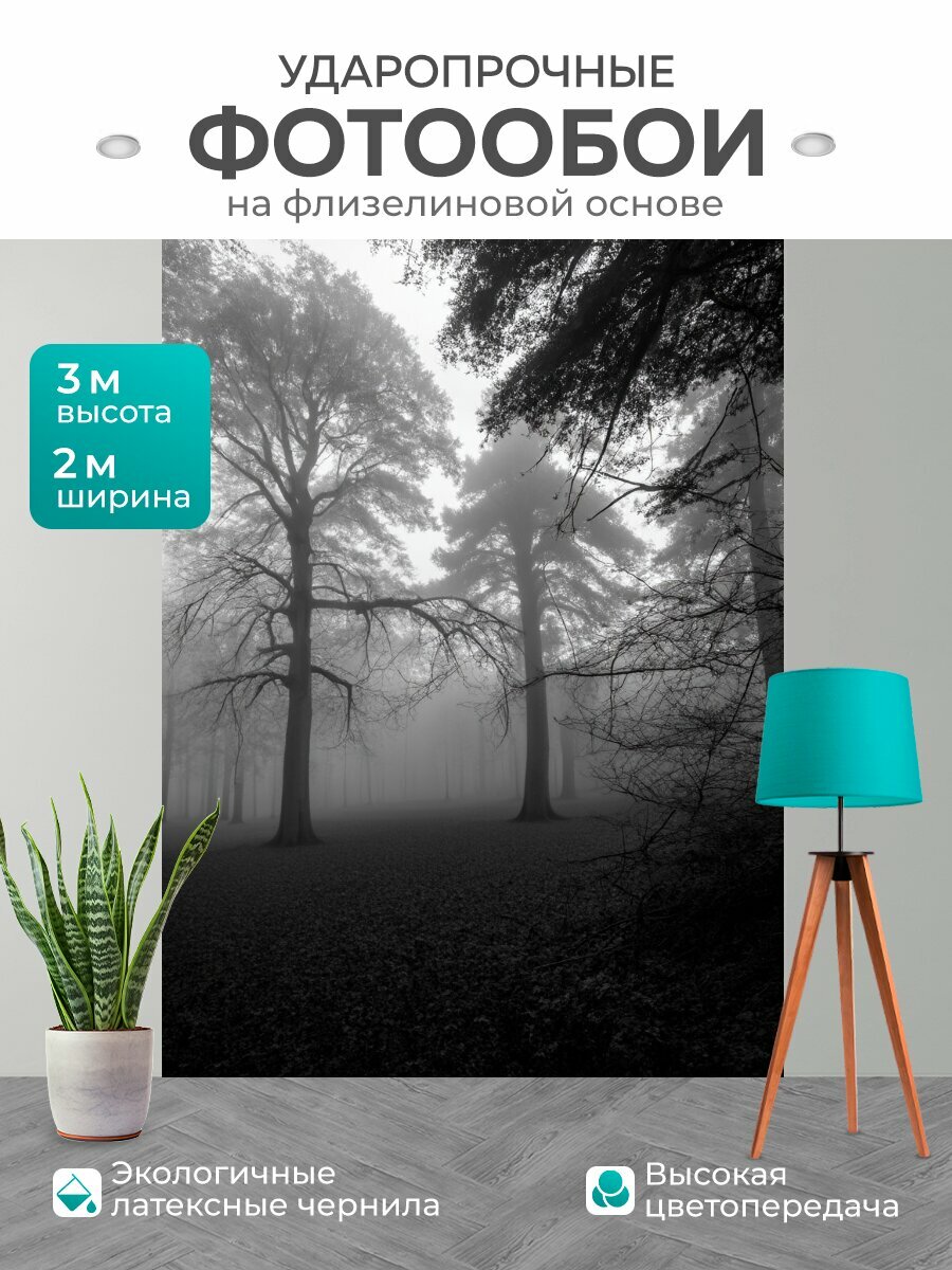 Фотообои моющиеся ударопрочные "Туман в стиле черно-белый, завуалированный лес с таинственными силуэтами деревьев, покрытых утренним туманом, мягкий свет пробивается 200x300 см. флизелиновые на стену