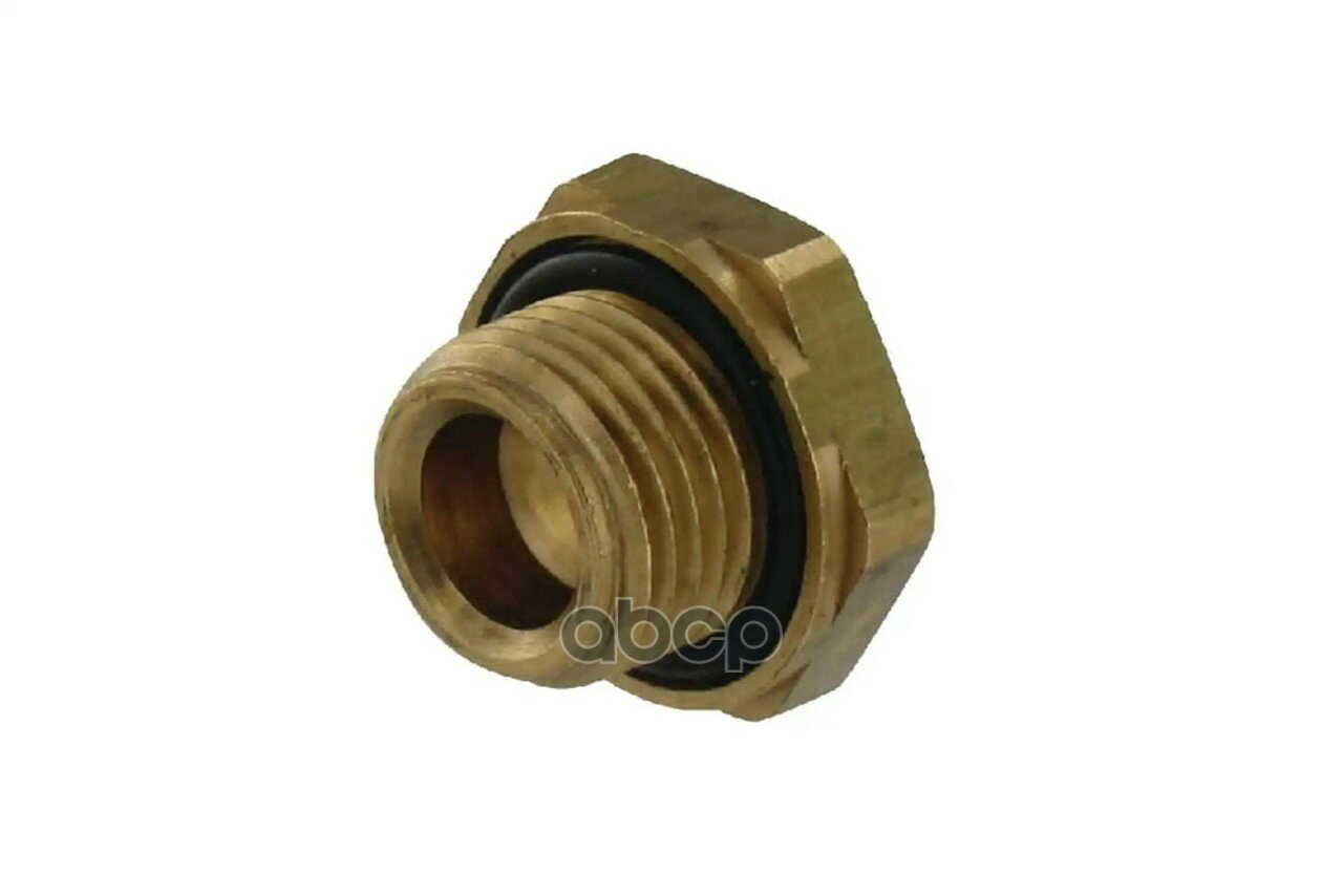 Пробка-заглушка резьбовая (M16 SW22 (л) с упл. кольцом R) Wabco арт. 8930220144
