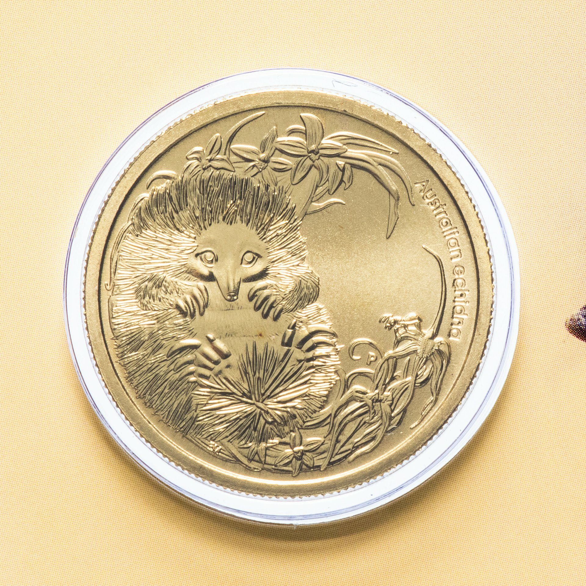 Австралия 1 доллар 2013 "Детёныши диких животных - Ехидна", в конверте с маркой, Бронза, в сохранности UNC