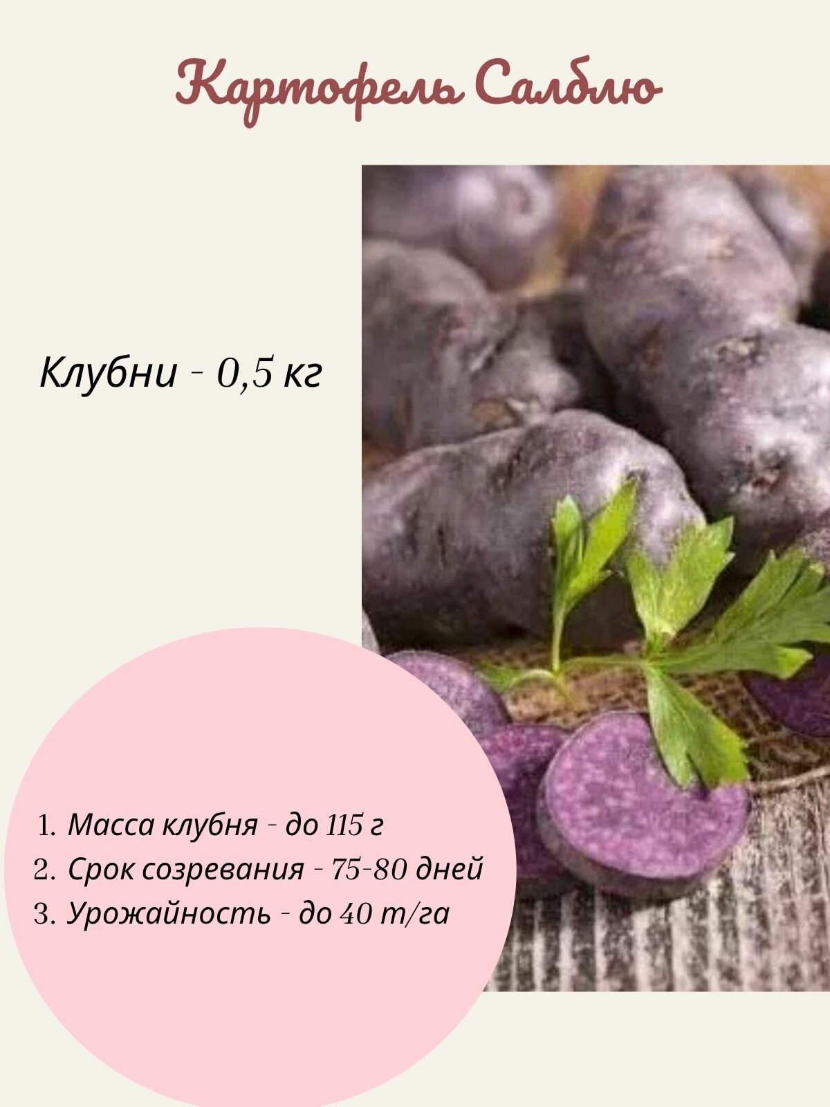 Картофель фиолетовый Салблю 0,5 кг на посадку