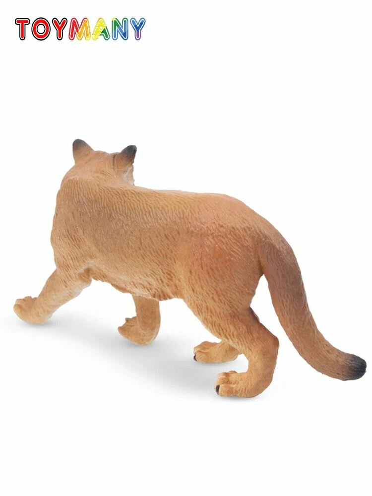 Toymany Мини-фигурка североамериканского животного, Пума, 63Х24Х31 мм, Подарок и коллекция