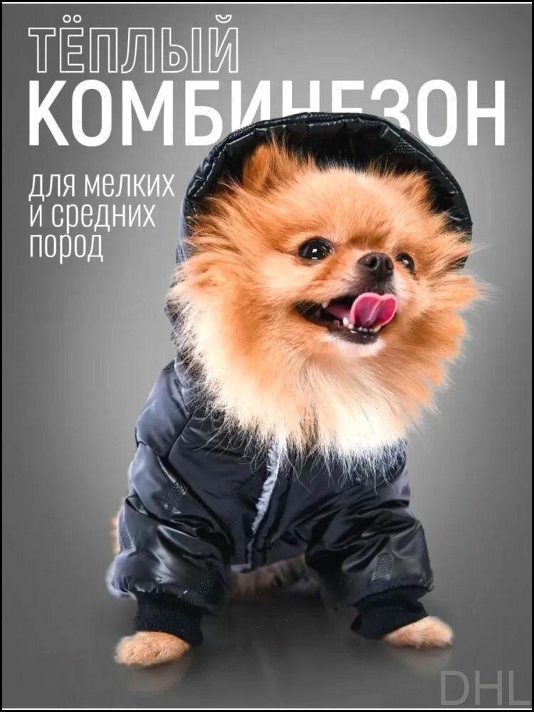 Эксклюзивный водоотталкивающий комбинезонкуртка с флисом и капюшоном для собак мелких и средних пород, демисезонная модель L, предназначена для йорков, шпицев, мопсов, чихуахуа