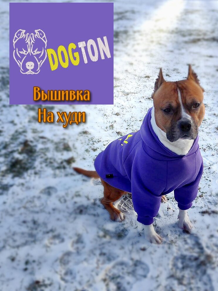Толстовка-одежда для собак с вышивкой "Себе намордник надень" от DOGTON для крупных пород. Худи с начесом. Размер "XXXL"