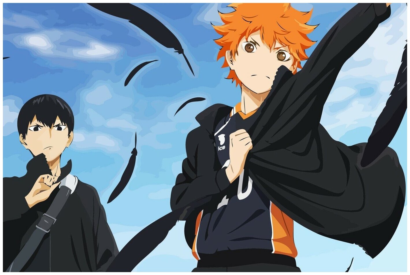 Картина по номерам на холсте Аниме Волейбол Хината Кагеяма - 743