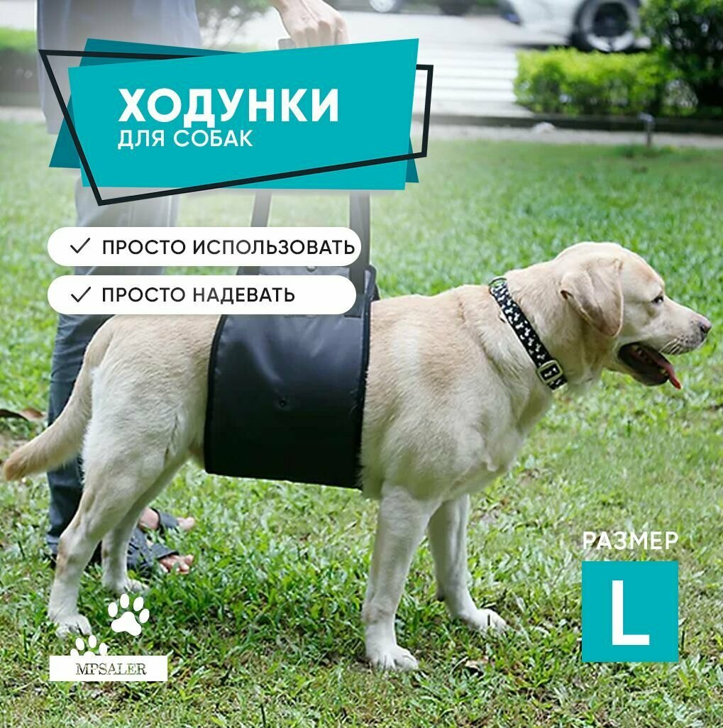 Ходунки, поддержка лап пожилых и травмированных собак. Размер L