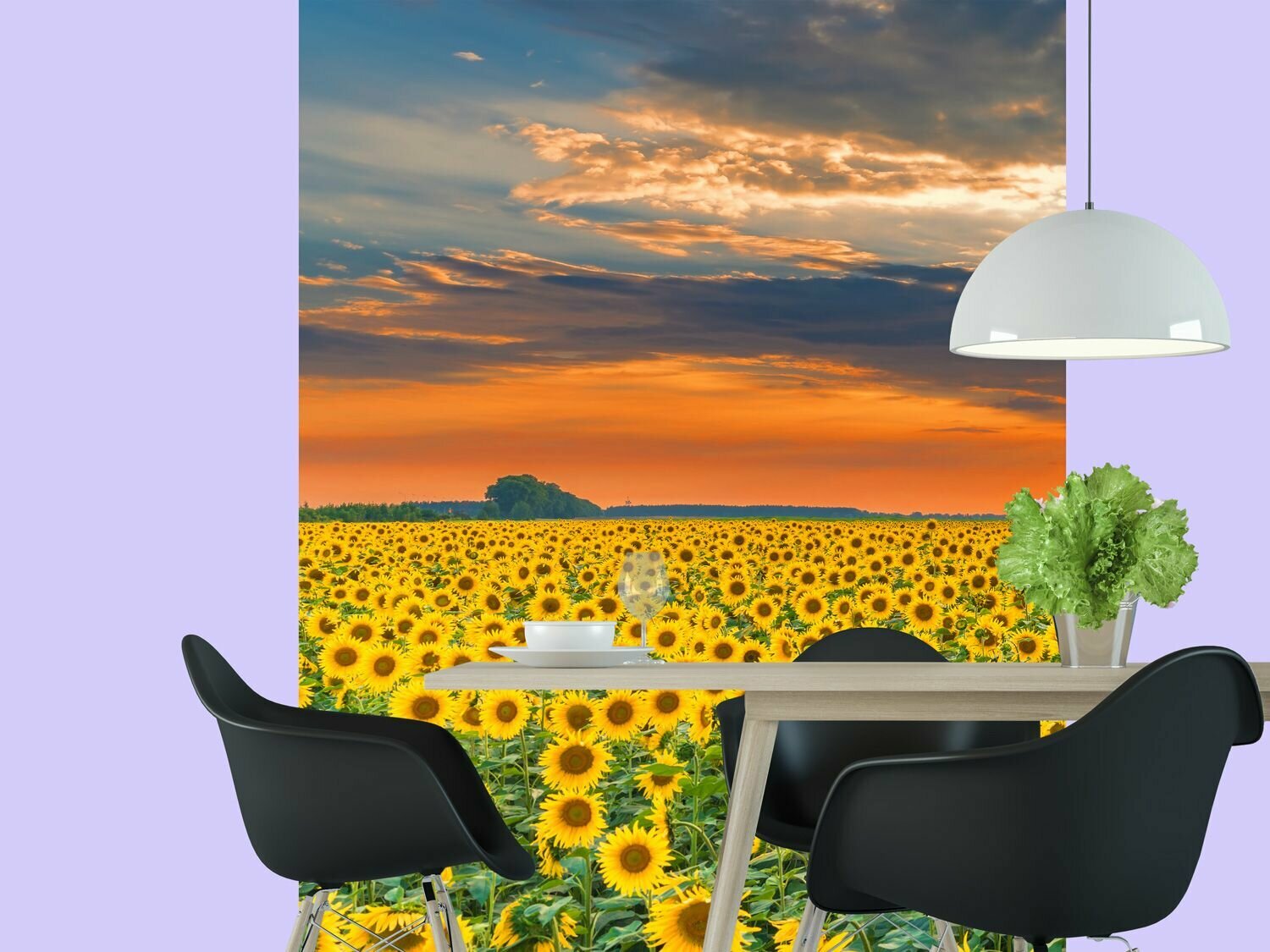 Фотообои на стену флизелиновые 3d HARMONY Подсолнечники 200х270 см HD2-153 фото обои 3д