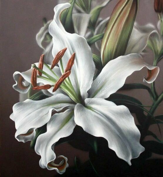 Картина раскраска по номерам на подрамнике на холсте 40*50 см "Белая лилия"