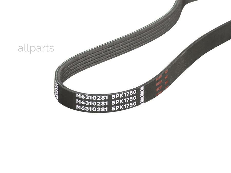 MARSHALL M6310281 ремень поликлиновой 5PK1750 RENAULT LOGAN I 04- / SANDERO I 07- / KANGOO I 97- / MEGANE I 96- (M6310281)