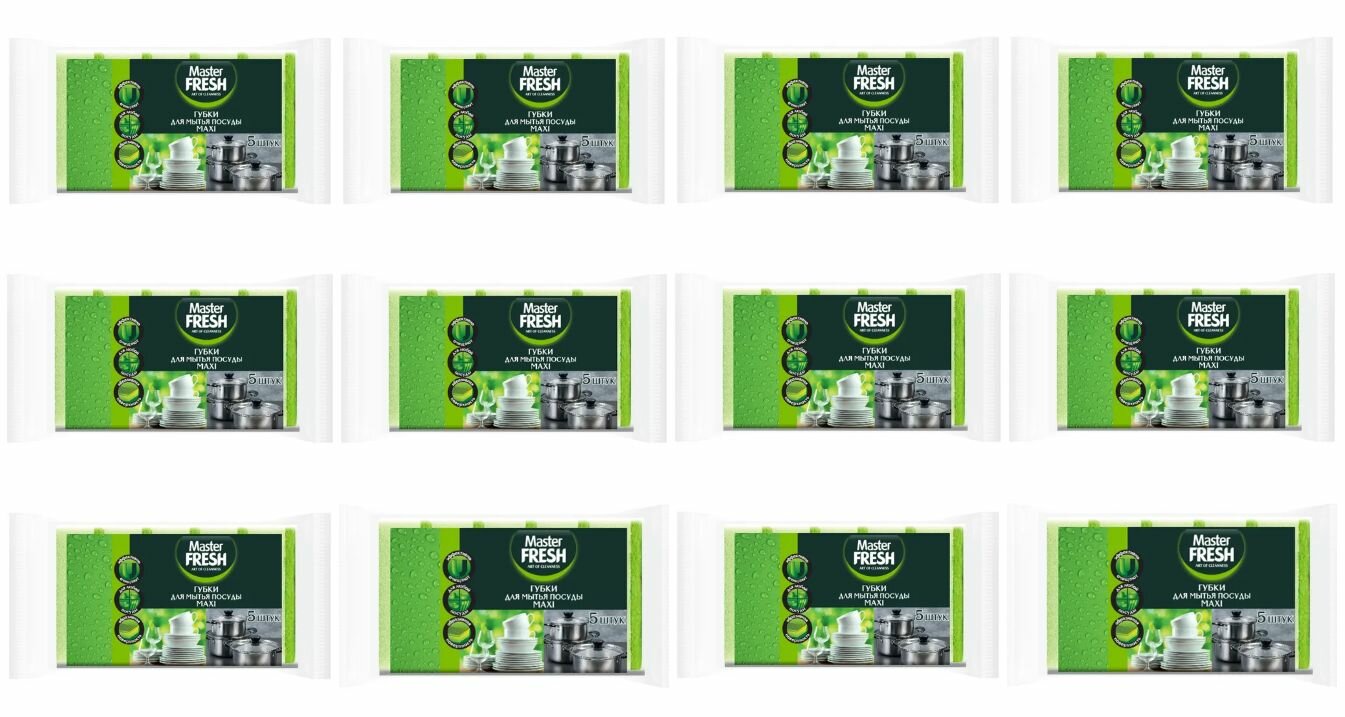 Master Fresh Губки для мытья посуды Maxi, 5 штук в упаковке, 12 шт