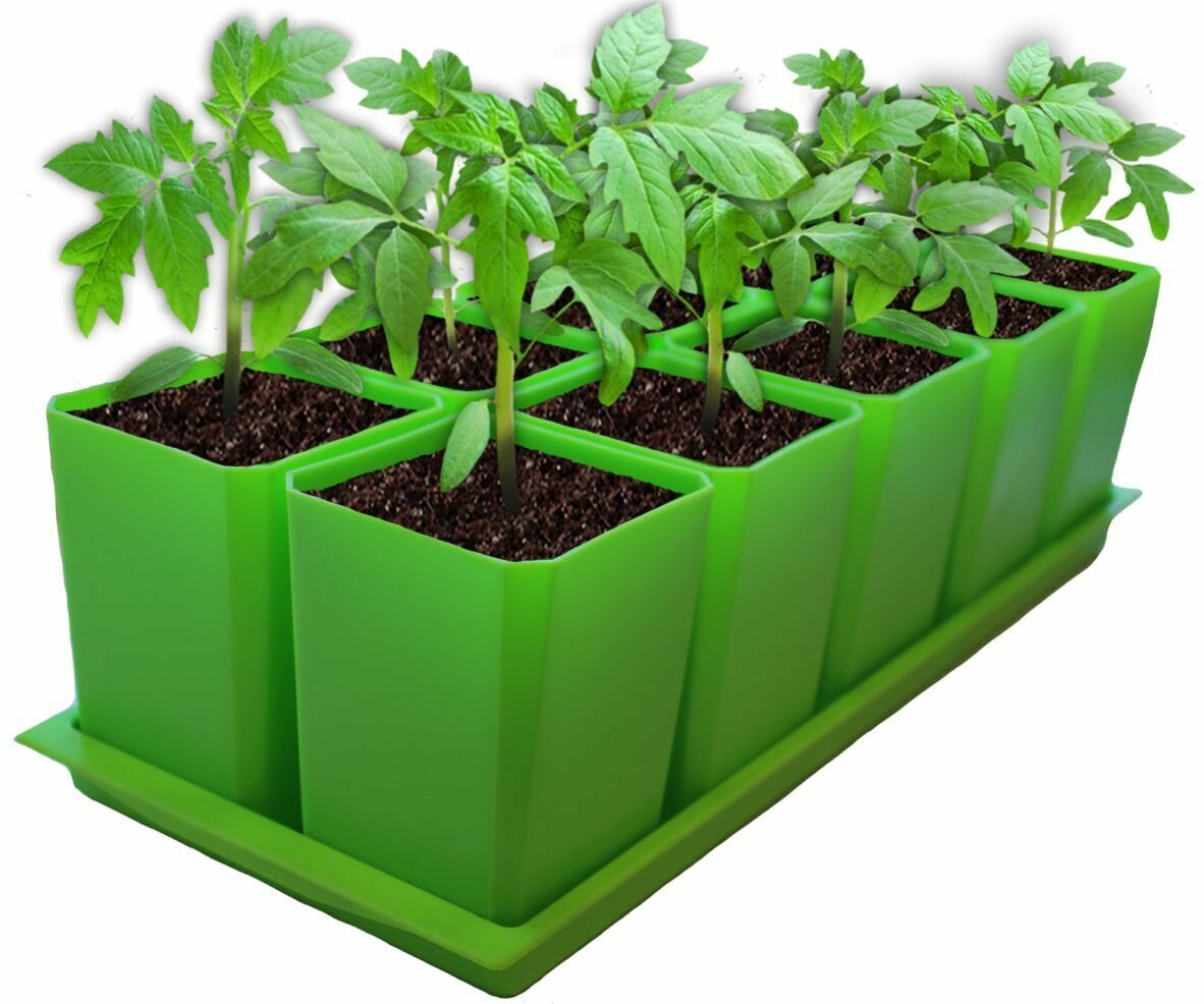 Горшки для рассады и цветов, набор из 10 горшков по 750 мл и поддона, Зеленый
